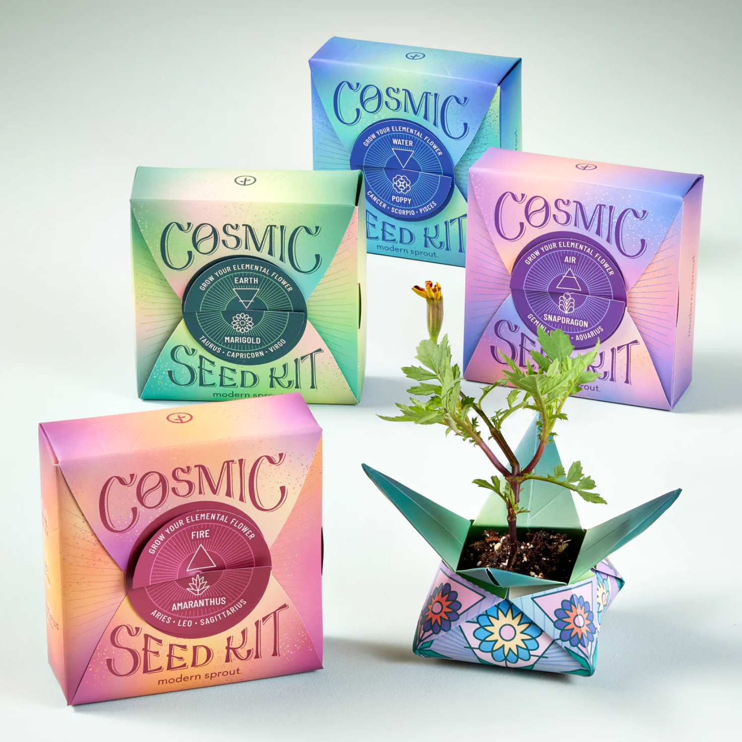Modern Sprout Zodiac Cosmic Seed Kits | Wild Water Collective